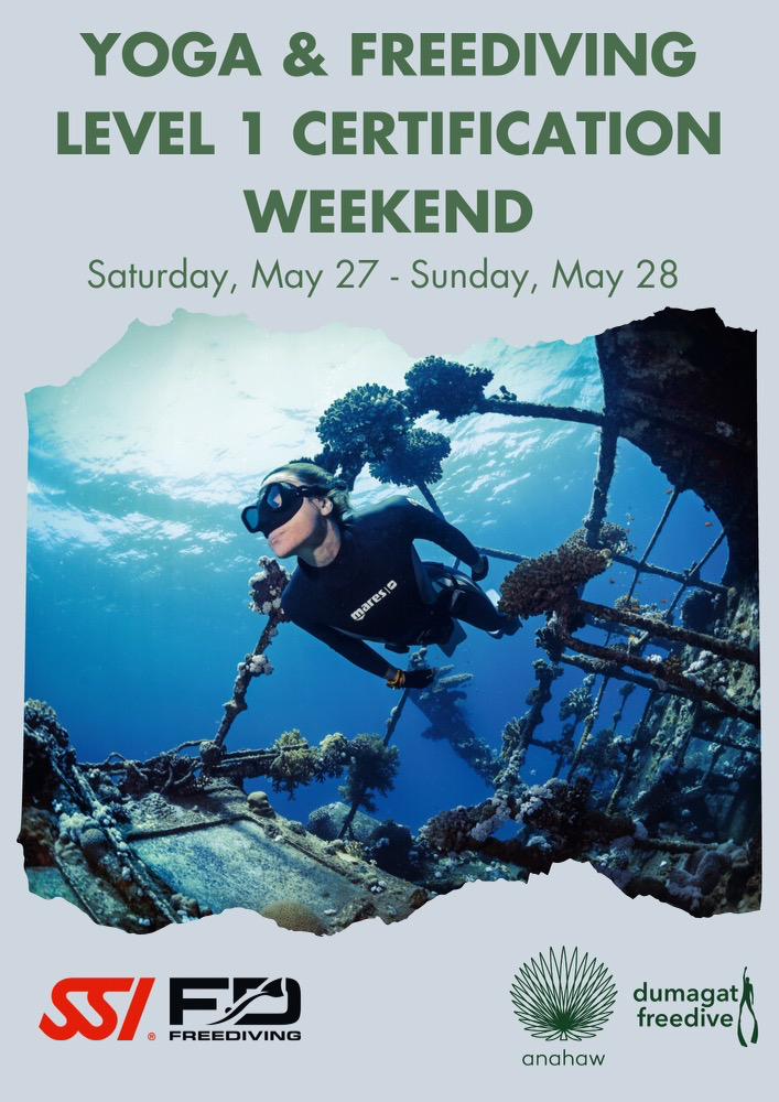 YOGA & FREEDIVING LEVEL 1 CERTIFICATION WEEKEND | Dumagat Freedive ...