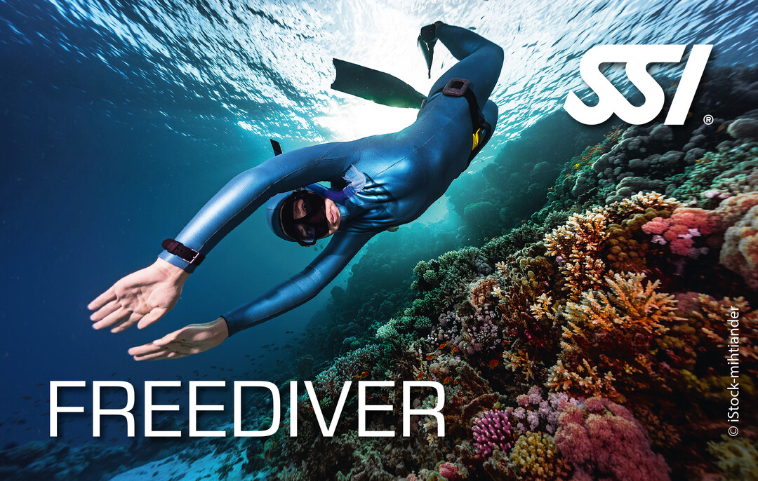 Presentation-Freediving Level 1 | Dumagat Freedive International ...