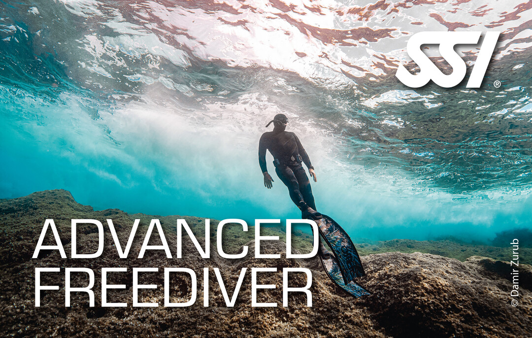 Presentation-Freediving Level 2 | Dumagat Freedive International ...