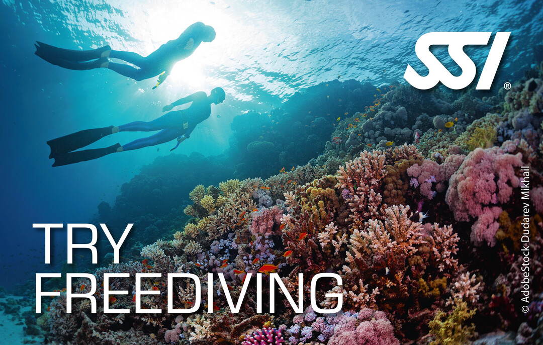 Presentation-Try Freediving | Dumagat Freedive International Freediving ...